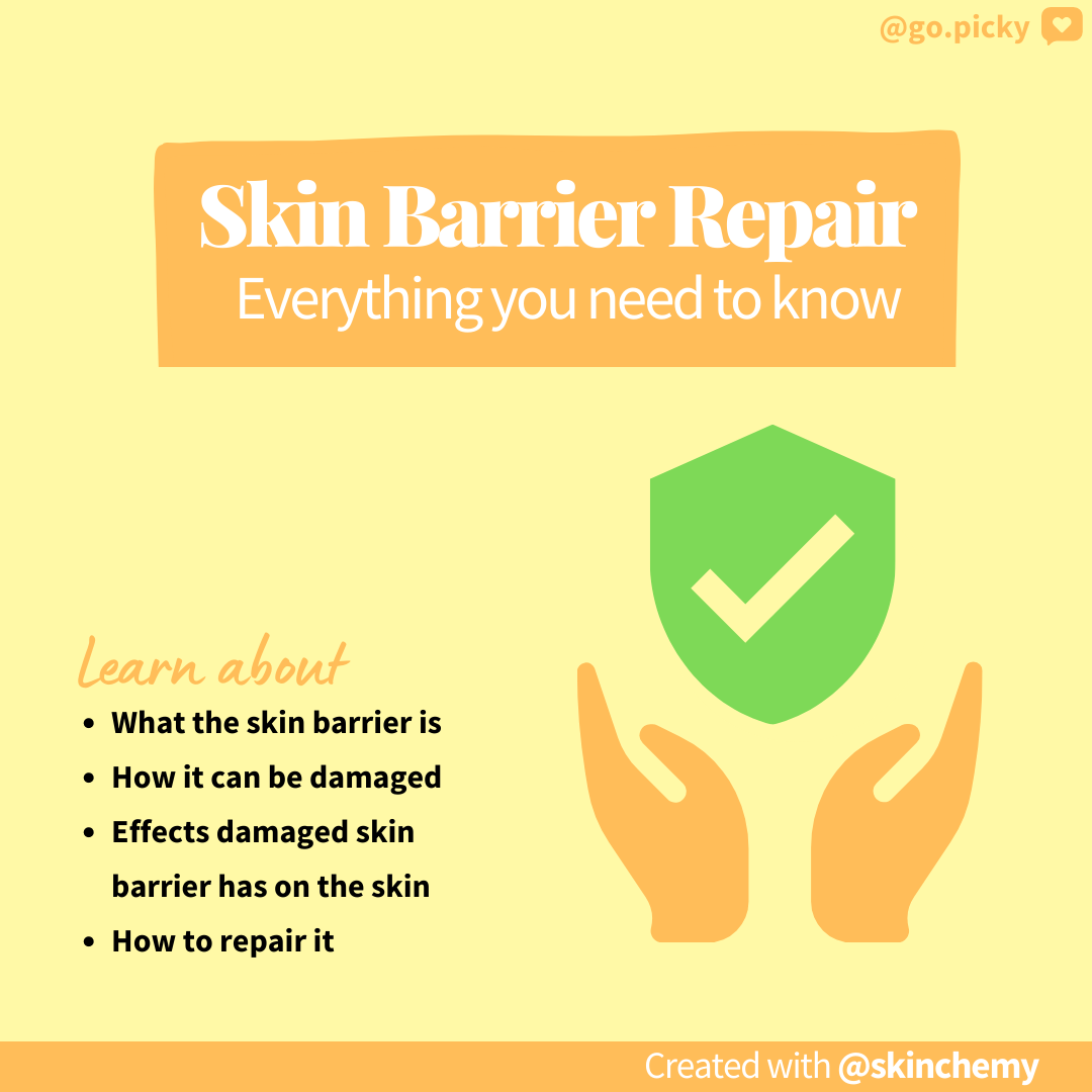 FAQ with @Skinchemy: How Do I Repair My Skin Barrier? - Picky Skincare Blog